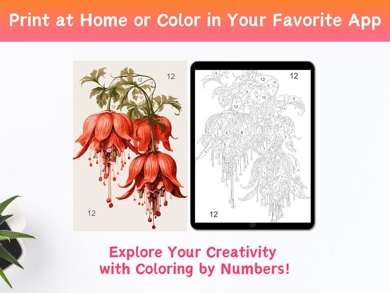Color by Number, Digital Coloring Pages, Paint by Numbers, Procreate ...