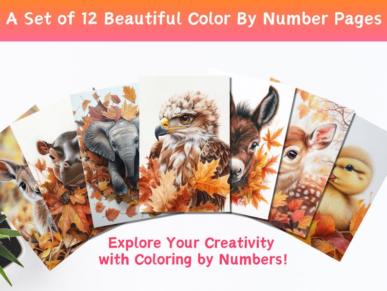 12 Color by Number Pages, Digital Coloring Pages, Paint by Numbers ...