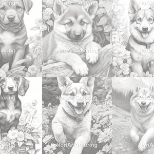 52 Dogs Different Breeds Set 1|grayscale Coloring Pages | Printable ...
