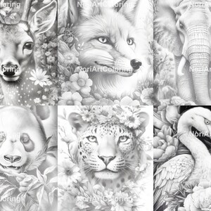 40 Realistic Wildlife Animals Set 1 Grayscale Coloring Pages ...