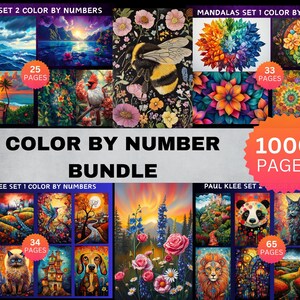 Ultimate Procreate Color by Numbers 1000 Pages Megabundle Paint by ...