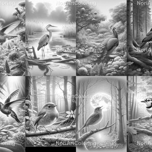 55 Beauty of Birds Grayscale Coloring Pages | Printable Adult Coloring ...