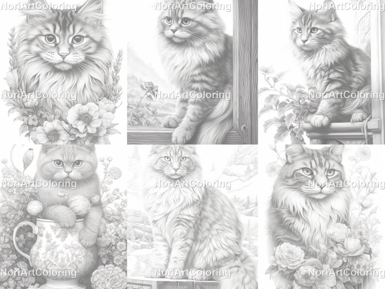 61 Cats Different Breeds |grayscale Coloring Pages | Printable Adult ...