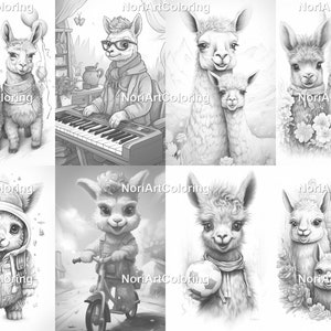 50 No Drama Llama Grayscale Coloring Pages | Cute Funny Llamas ...
