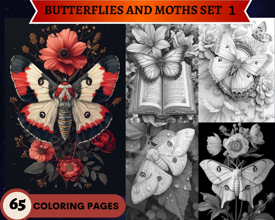 65 Butterflies and Moths Set 1 Coloring Pages | Printable Adult ...