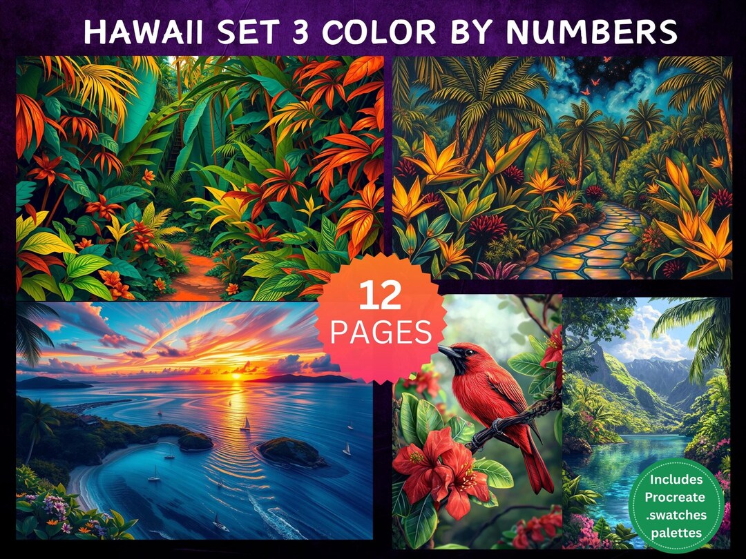 12 Color by Number Pages, Digital Coloring Pages, Paint by Numbers ...