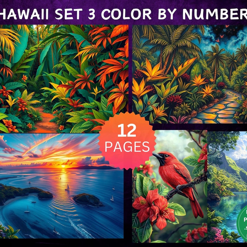 Color by Numbers Hawaii - Etsy
