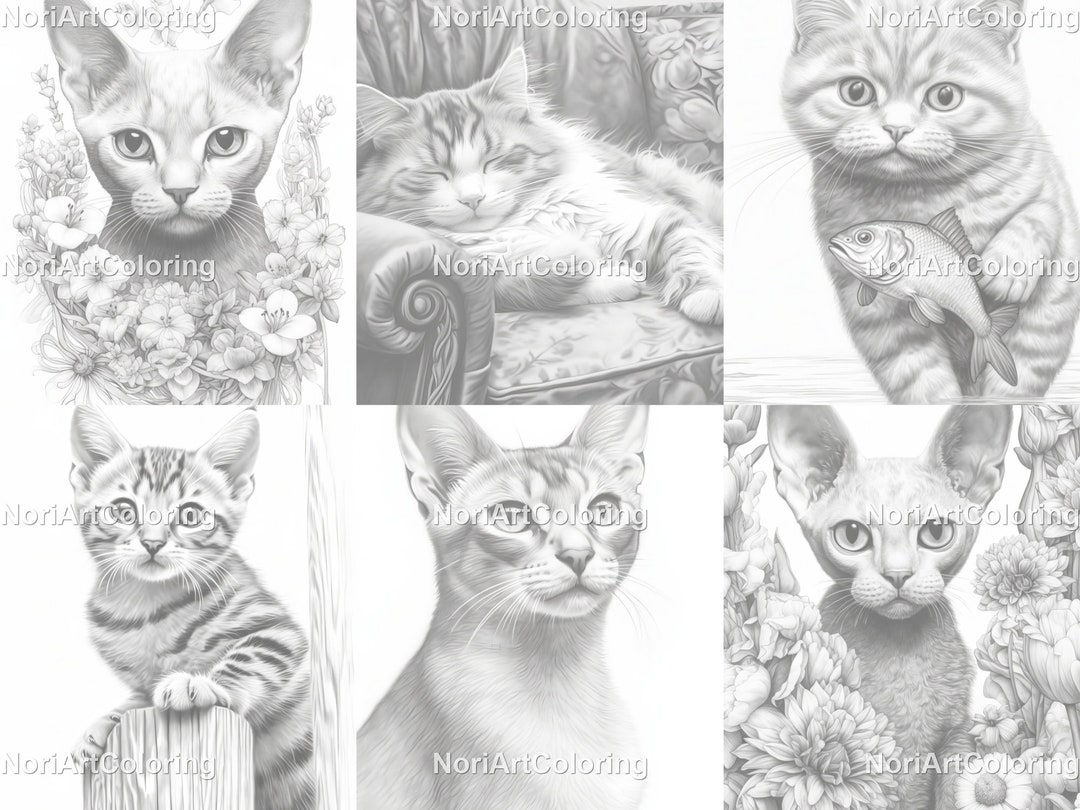 61 Cats Different Breeds |grayscale Coloring Pages | Printable Adult ...