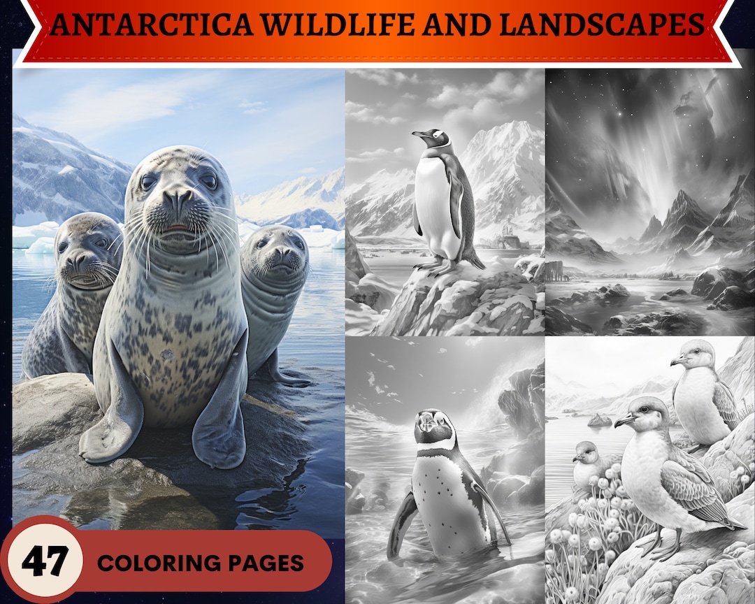 47 Antarctica Wildlife and Landscapes Grayscale Coloring Pages ...