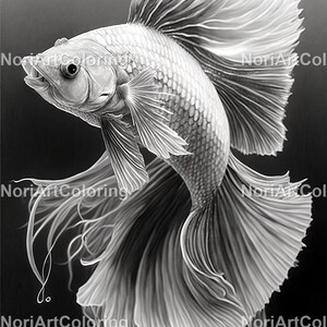 42 Ocean Life Grayscale Coloring Pages |otters Octopus Fishes Whales ...
