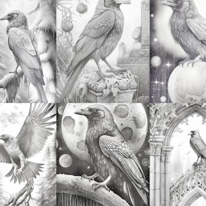 36 Ravens Grayscale Coloring Pages | Gothic Ravens Coloring Pages ...