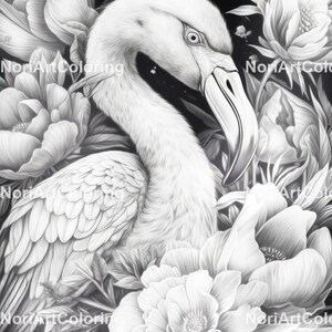 40 Realistic Wildlife Animals Set 1 Grayscale Coloring Pages ...