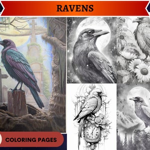 36 Ravens Grayscale Coloring Pages | Gothic Ravens Coloring Pages ...