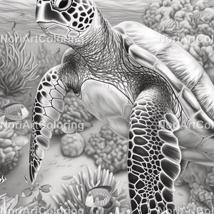 42 Ocean Life Grayscale Coloring Pages |otters Octopus Fishes Whales ...