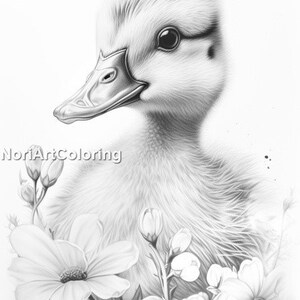 40 Cute Baby Animals Grayscale Coloring Pages | Printable Adult ...