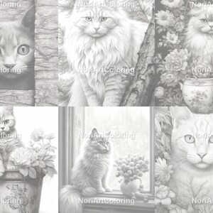61 Cats Different Breeds |grayscale Coloring Pages | Printable Adult ...