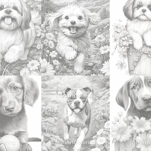 52 Dogs Different Breeds Set 1|grayscale Coloring Pages | Printable ...
