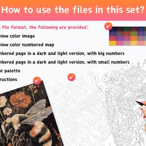 Ultimate Procreate Color by Numbers 1000 Pages Megabundle Paint by ...