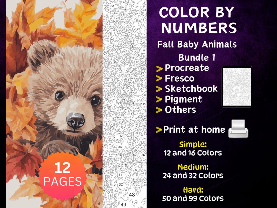 12 Color by Number Pages, Digital Coloring Pages, Paint by Numbers ...