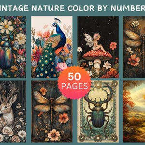 50 Vintage Nature Color by Number Pages, Digital Coloring Pages, Paint ...