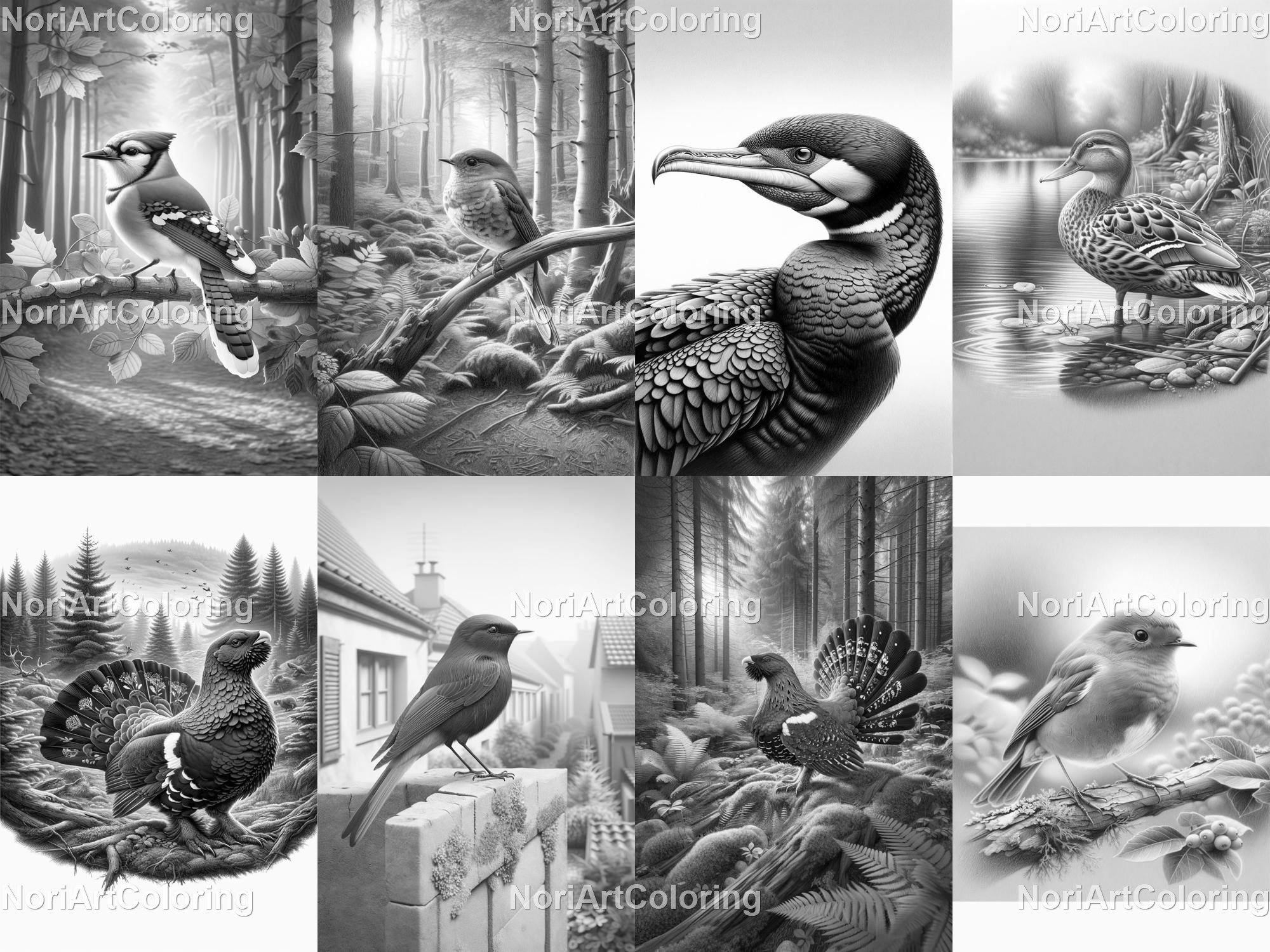 55 Beauty of Birds Grayscale Coloring Pages | Printable Adult Coloring ...