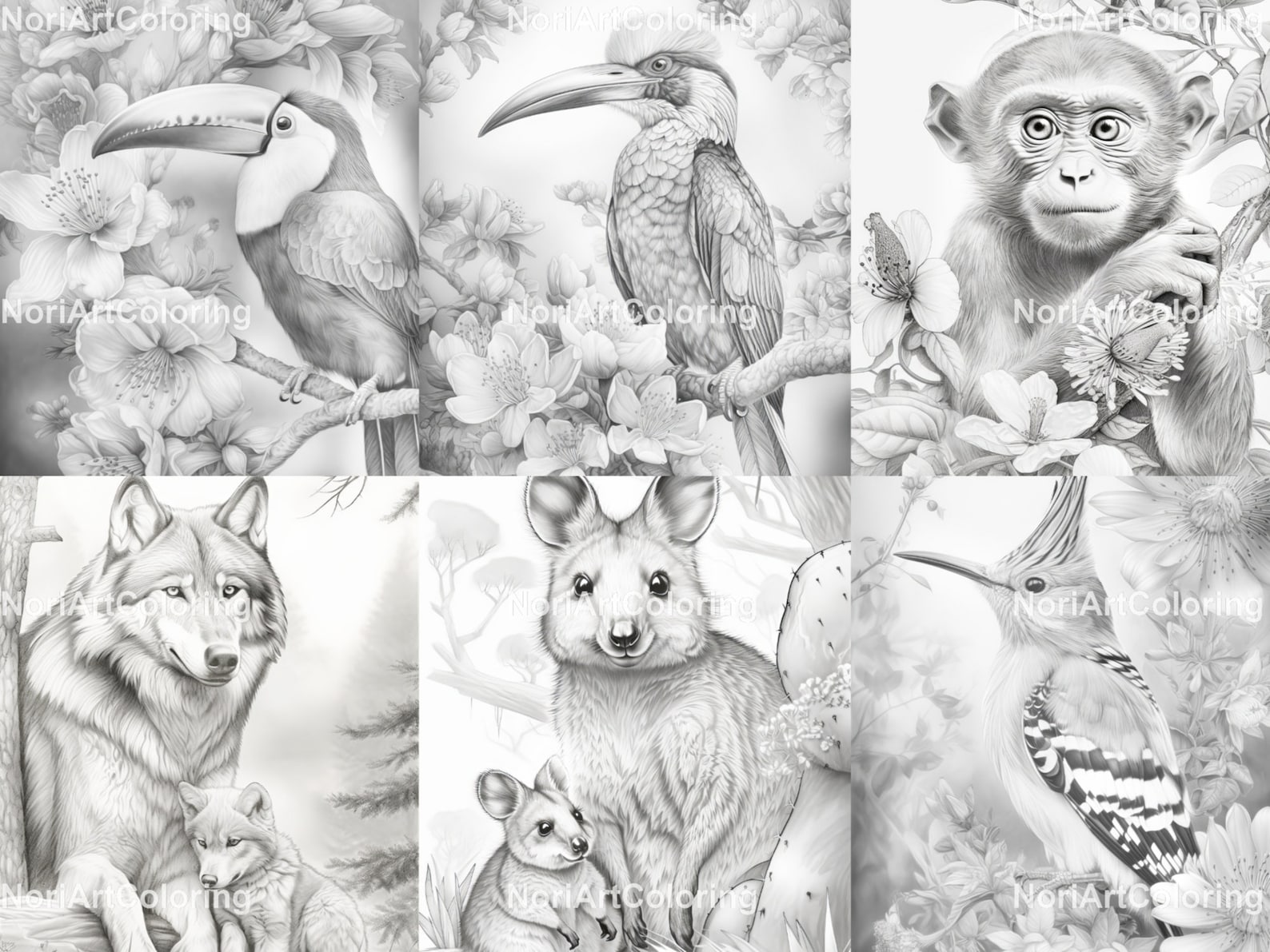 40 Realistic Wildlife Animals Set 1 Grayscale Coloring Pages ...