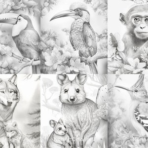 40 Realistic Wildlife Animals Set 1 Grayscale Coloring Pages ...