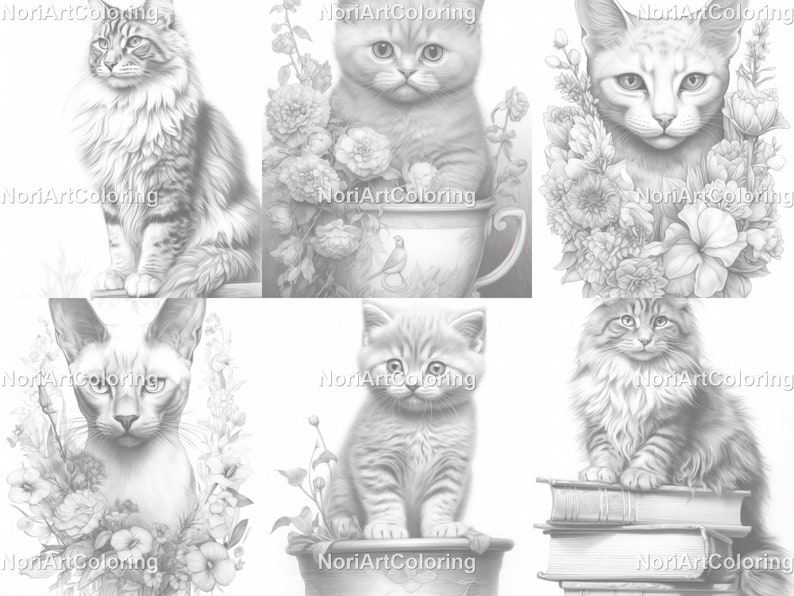 61 Cats Different Breeds |grayscale Coloring Pages | Printable Adult ...