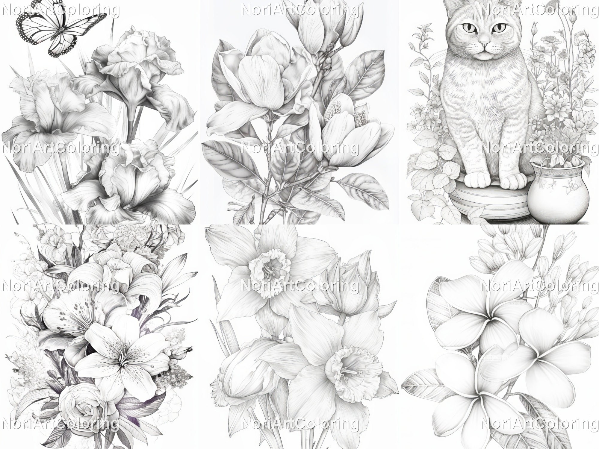 43 Realistic Flowers Coloring Pages Printable Adult Coloring - Etsy UK