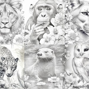 40 Realistic Wildlife Animals Set 1 Grayscale Coloring Pages ...