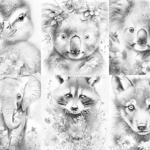 40 Cute Baby Animals Grayscale Coloring Pages | Printable Adult ...