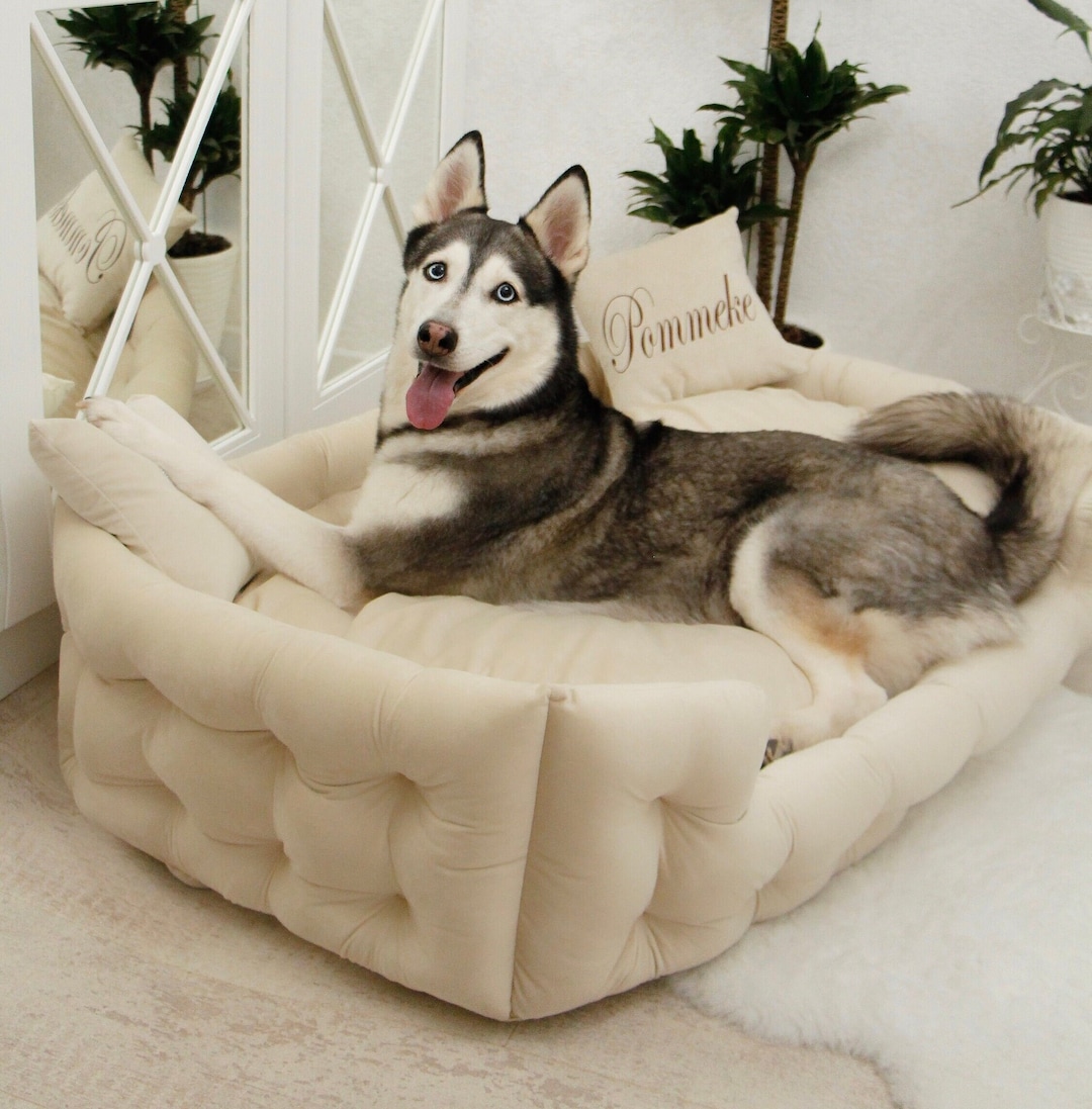 Dog Bed, Large Dog Bed, Extra Large Dog Bed, Velvet Dog Bed, Custom Dog ...