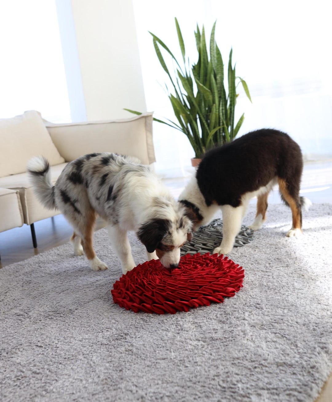 Luxury Velour Snuffle Mat for Dogs: Slow Feeder & Stress Relief - Etsy