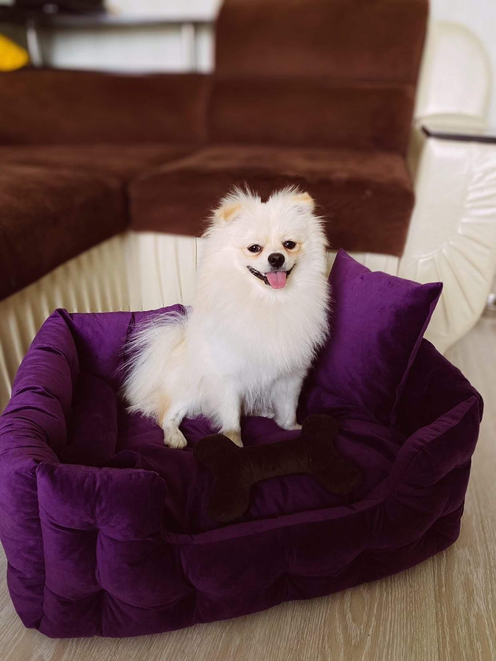 Dog Bed, Large Dog Bed, Extra Large Dog Bed, Velvet Dog Bed, Custom Dog ...