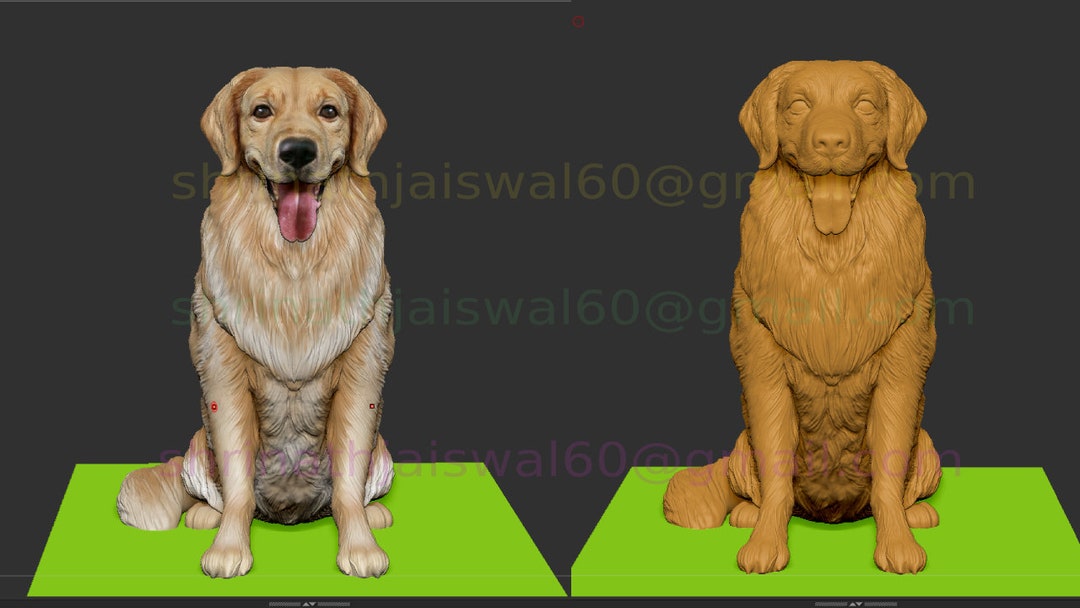 Custom 3D Pet Memorials & Figures – Digital 3D Pet Portraits for Everlasting Memories - Etsy