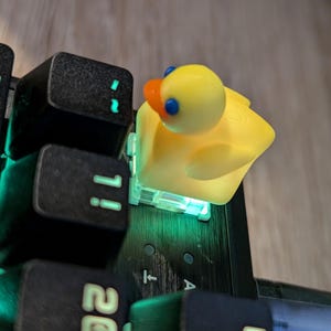 Quirky Duck Keycap 3D Printed Delight for Corsair K70 PRO and More! - Etsy