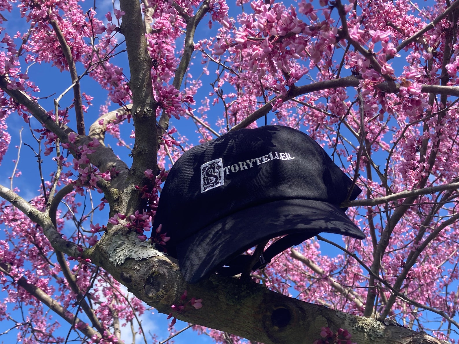 Blood on the Clocktower Inspired 'storyteller' Dad Hat - Enhance Your ...