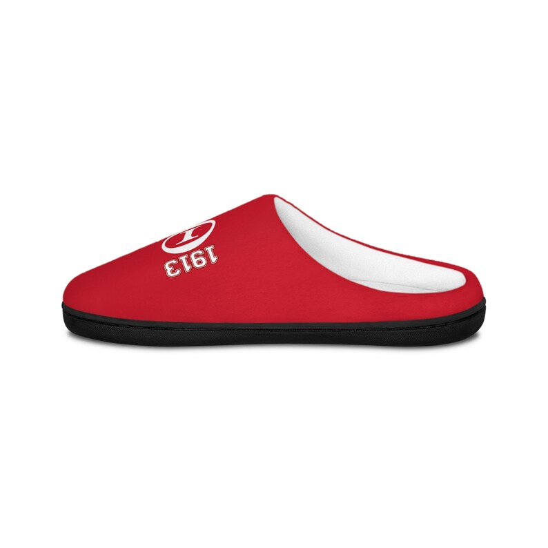 Delta Sigma Theta Slippers, Trendy Graphic 1913 HBCU D9 Sorority Indoor ...