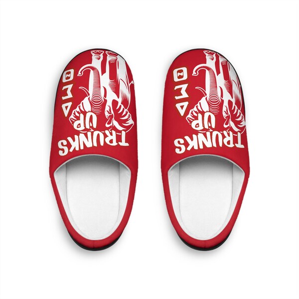 Delta Sigma Theta Slippers - Etsy