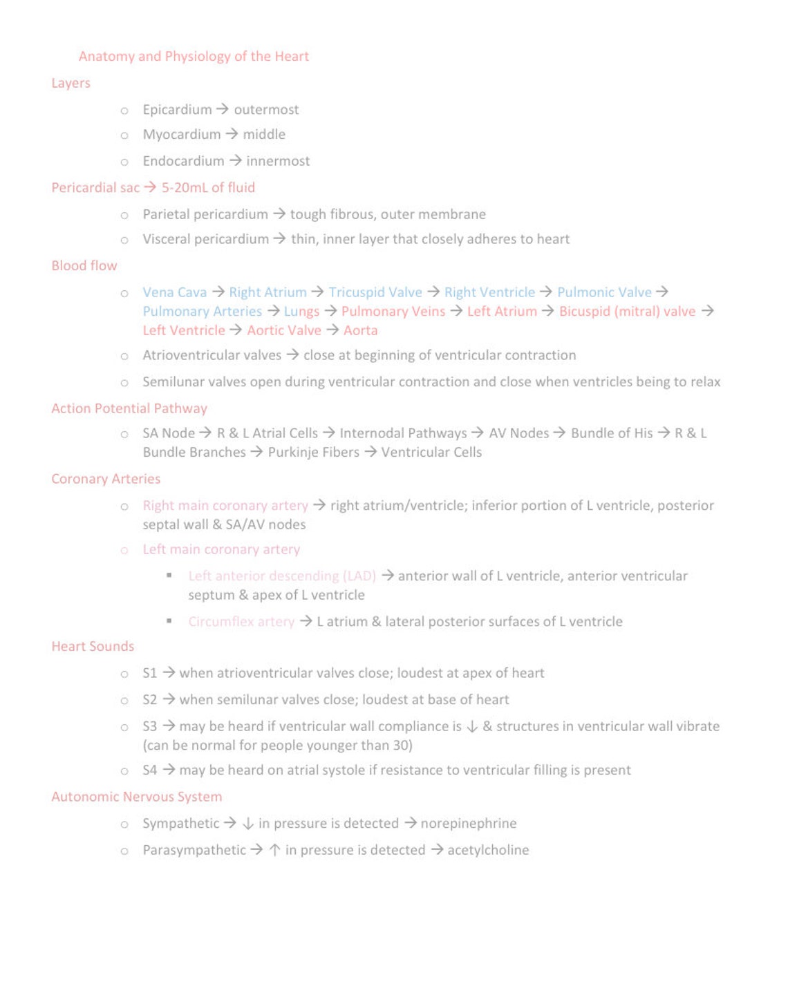Cardio Nursing School Notes - Etsy