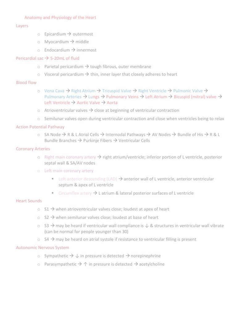 Cardio Nursing School Notes - Etsy