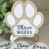 One Cake Topper Half Sun Cake Topper Boho Cake Topper First Trip Around ...