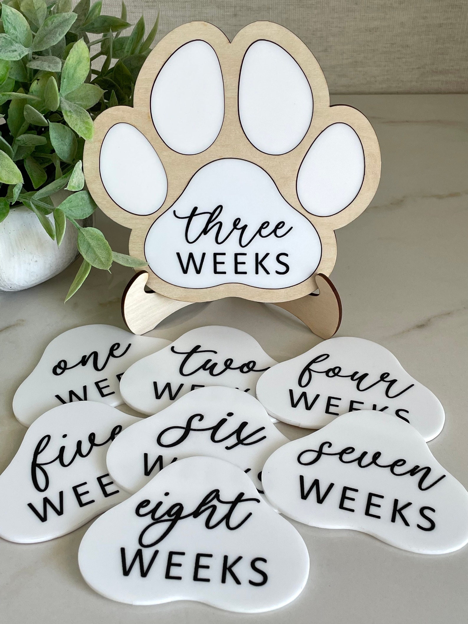 Breeder Puppy Milestone Photo Prop Weekly Puppy Milestones for Breeder ...