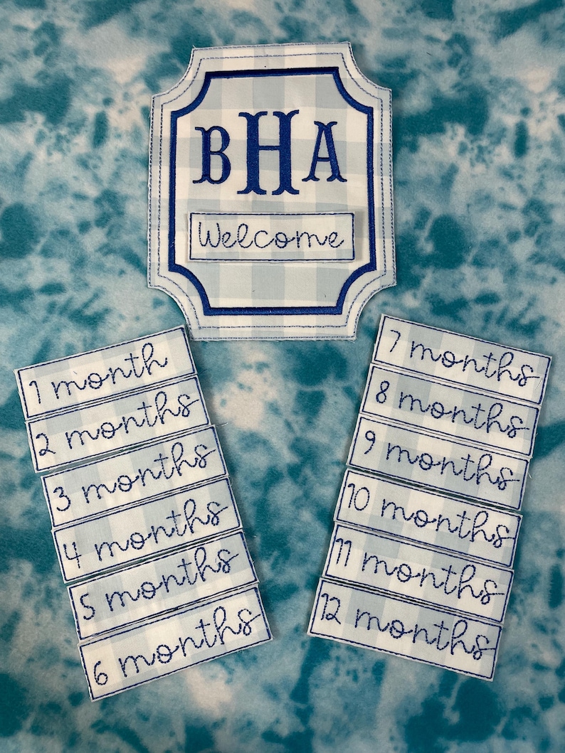 Baby Milestone Cards: Welcome Sign, Months 1-12 - Etsy