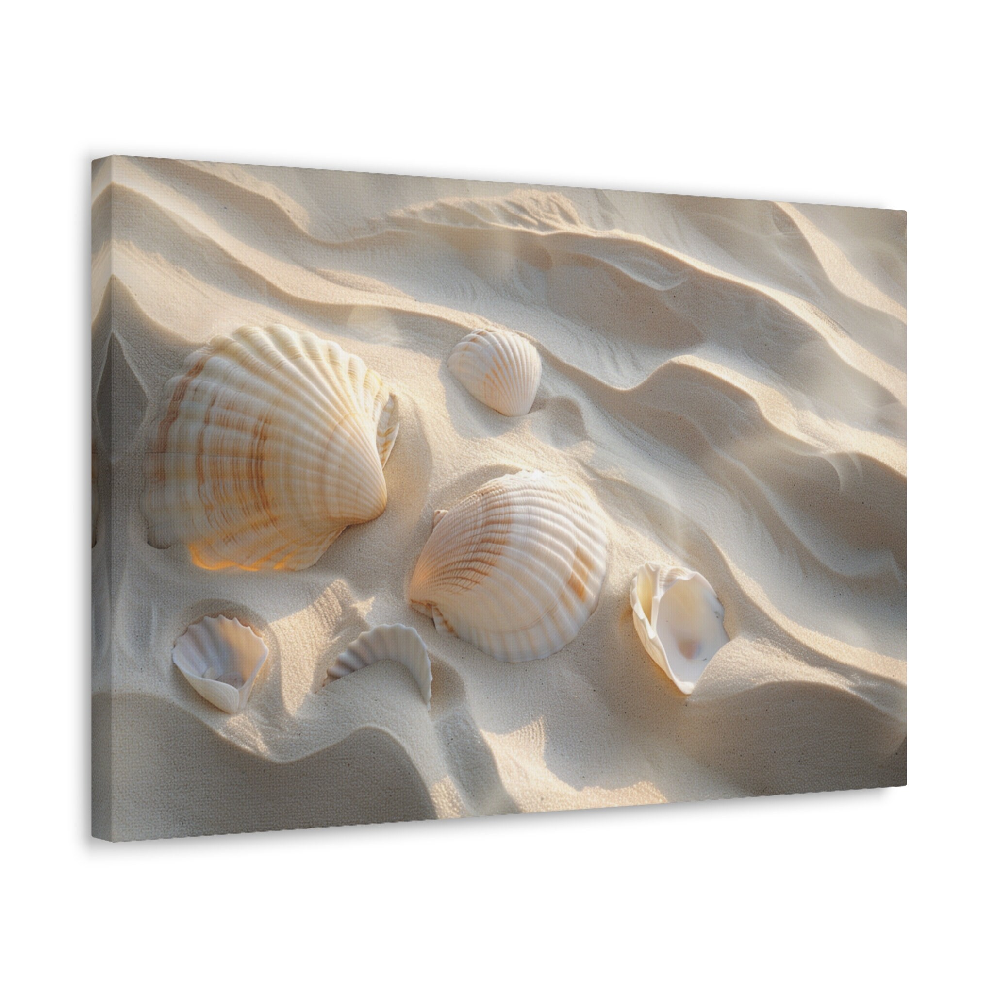 Clam Shells in the Sand Wall Art Canvas Ocean Inspired Seashell Beach ...