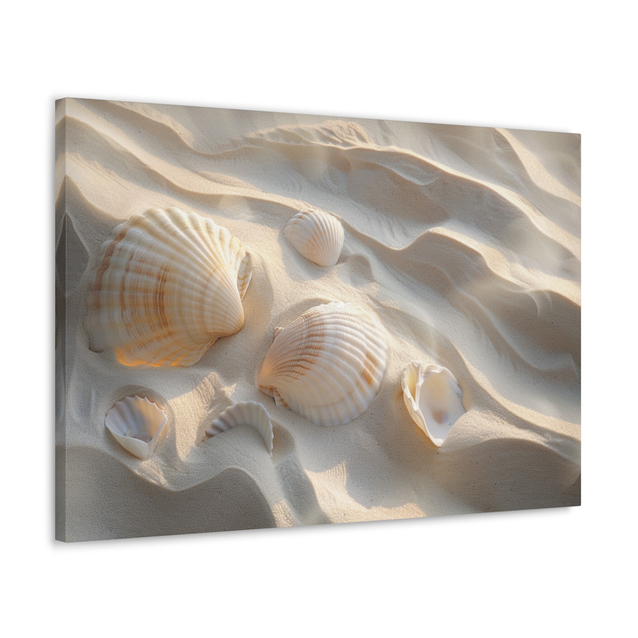 Clam Shells in the Sand Wall Art Canvas Ocean Inspired Seashell Beach ...
