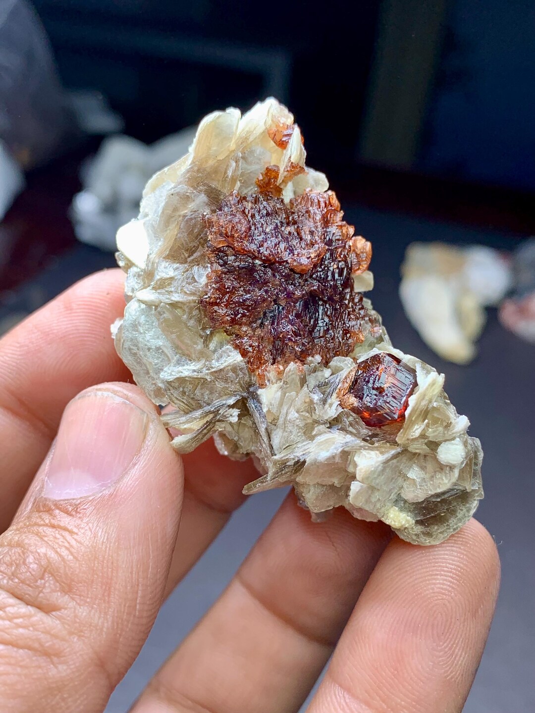 Garnets Combines Muscovite Matrix Unique Specimen, Etched Garnet ...