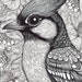 Bird Coloring Pages: Beautiful Birds Adult Coloring Book | 20 Digital ...