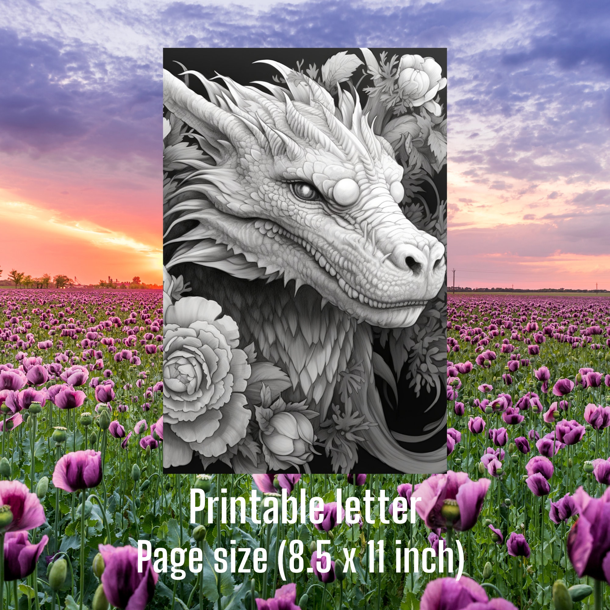 20 Flower Dragon Fantasy Coloring Page Book, Adults Kids Instant ...