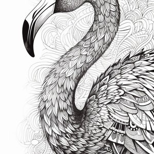 Bird Coloring Pages: Beautiful Birds Adult Coloring Book | 20 Digital ...